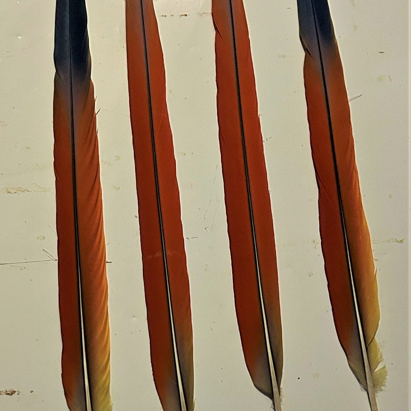Craft Feathers - Etsy