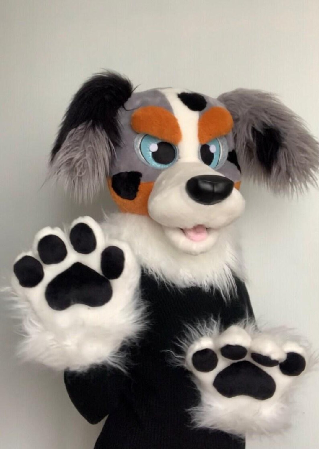 Australian Shepherd Fursuit and Paws - Etsy