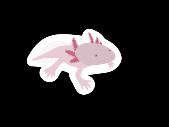 Axolotl Sticker-sushi - Etsy