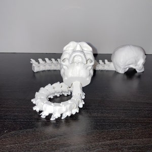 Articulated Skull and Spine, Fidget Toy, Fake Skeleton, Halloween Desk ...