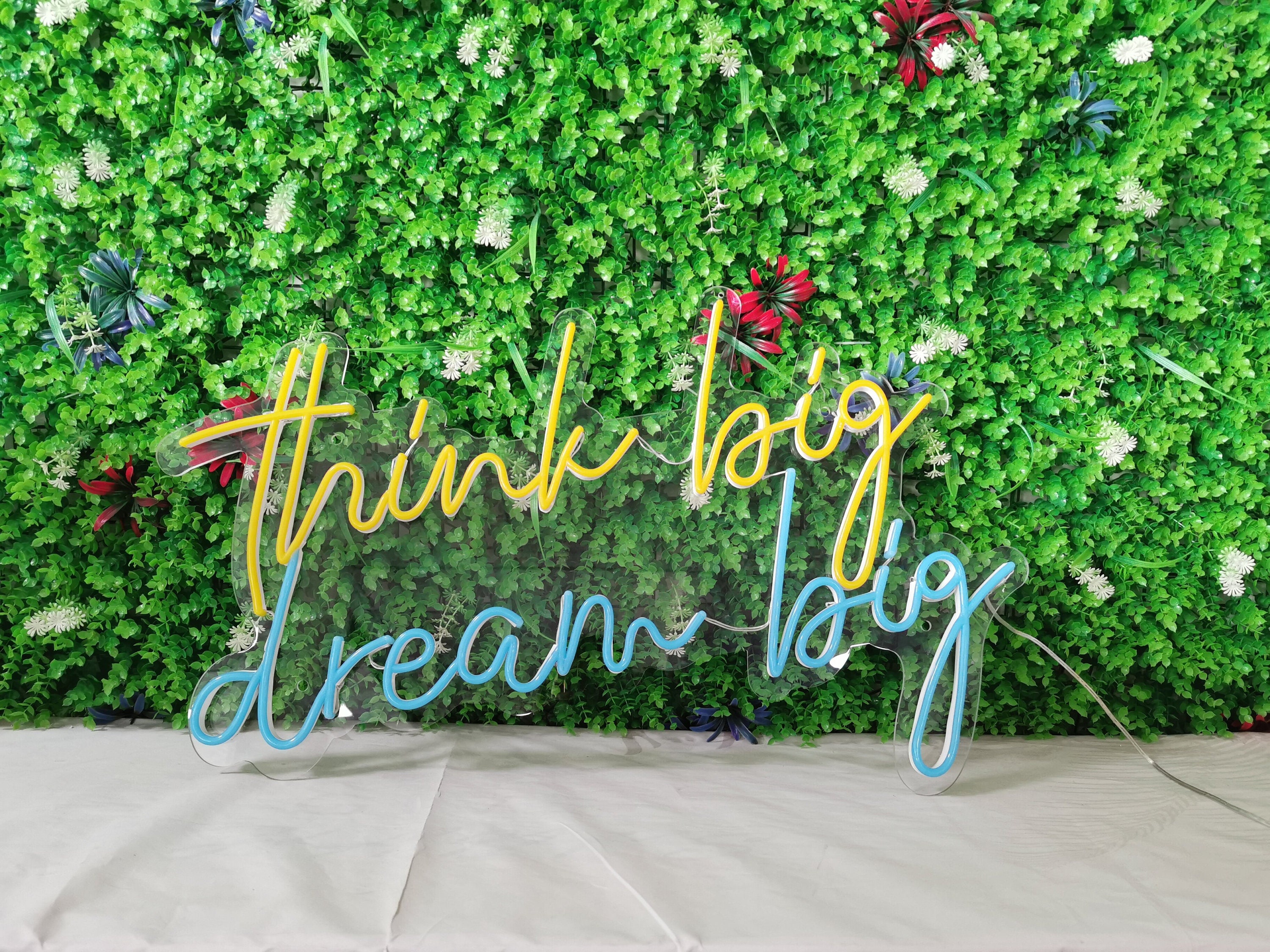 Think Big Dream Big Neon Sign Led Neon Sign Personalized | Etsy