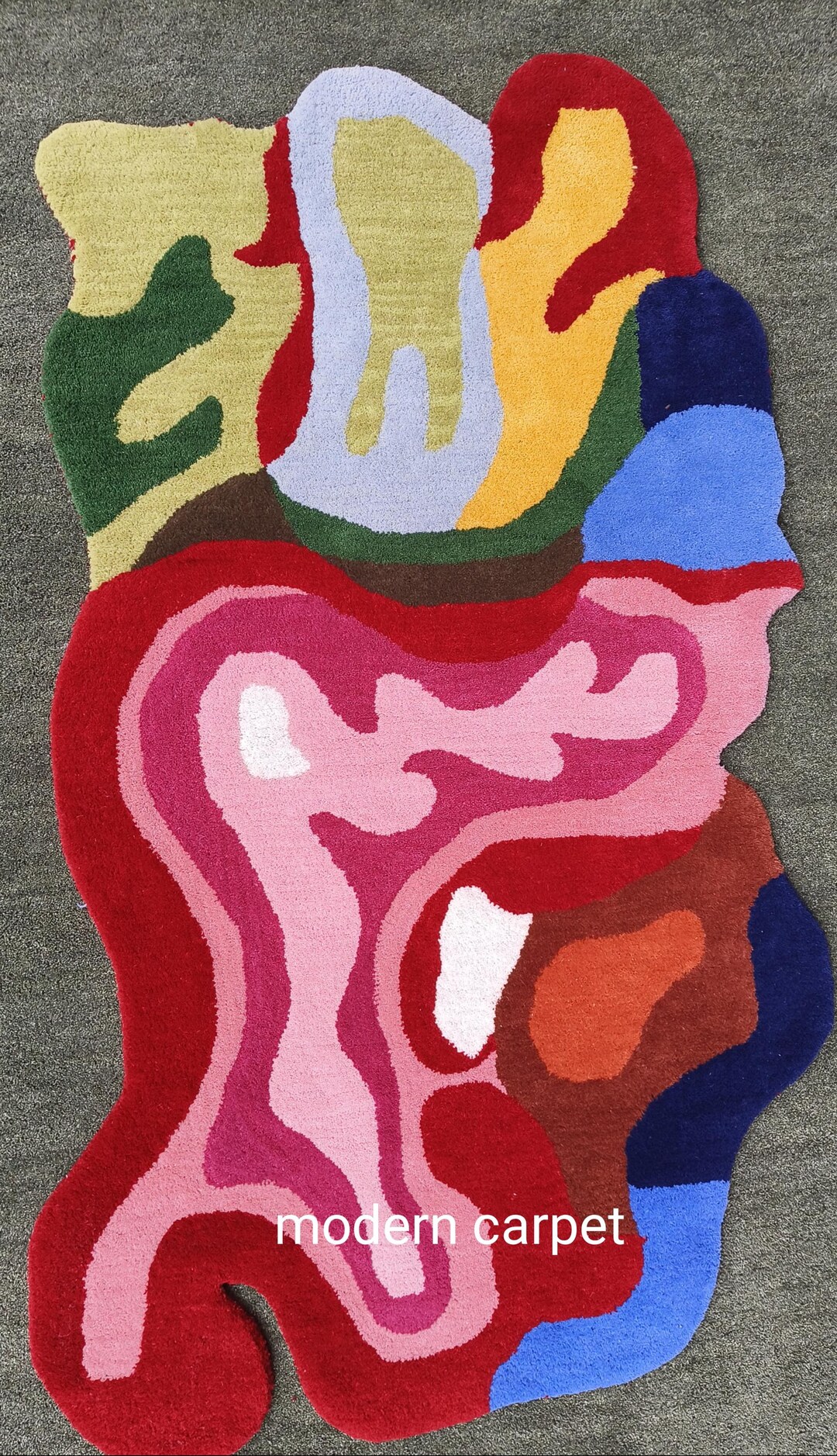 Irregular Amoeba Shaped Rug Hand-tufted 100% Woolen Handmade Area Rug ...