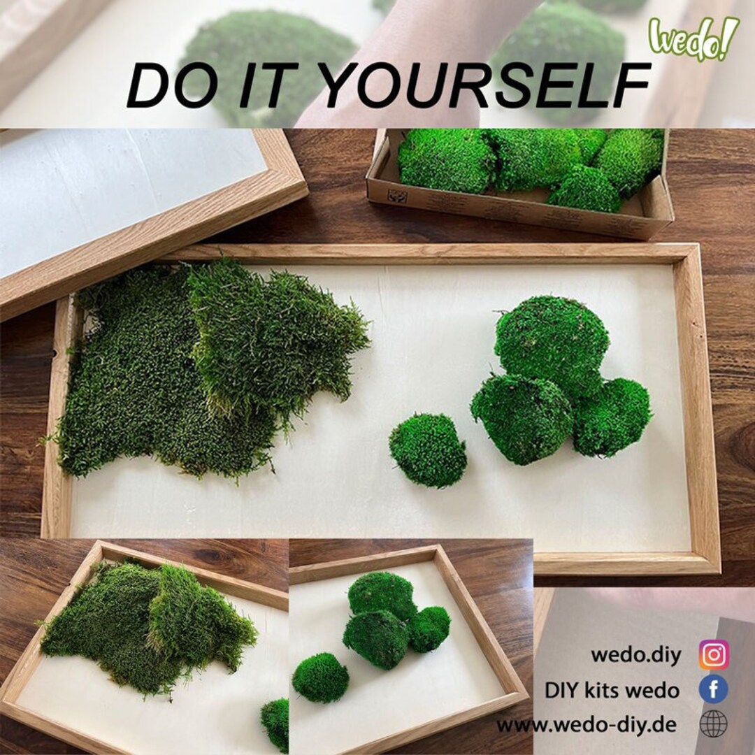 DIY Kit Moosbild im Motiv Blitz mit Kugelmoos und Flachmoos - Etsy ...