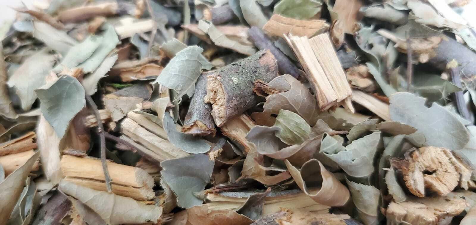 Anamu Tea PLANTA TEA 5oz Free Shipping.. - Etsy