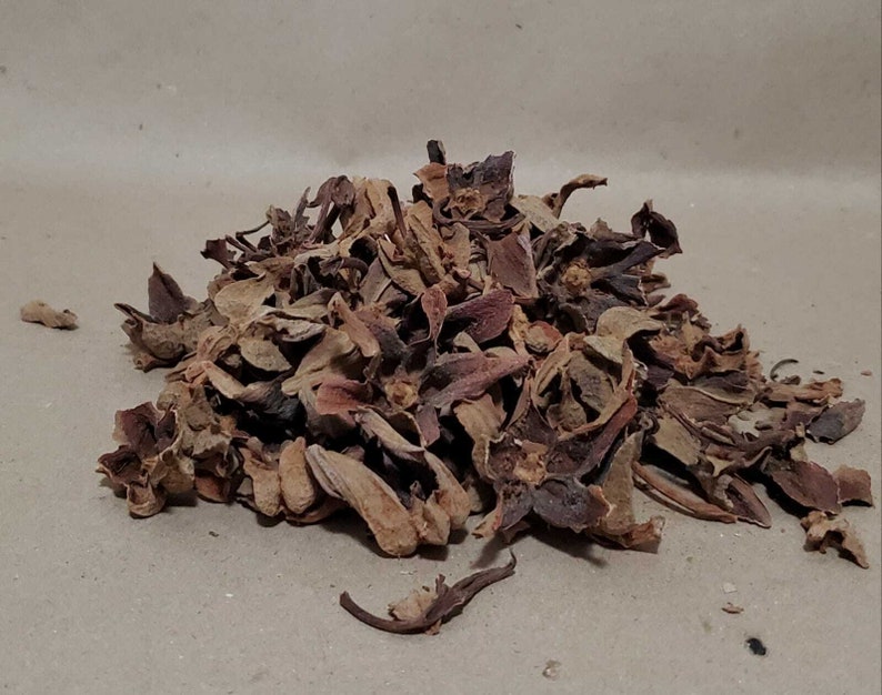 Flor De Manita Devils Hand Flower Herbal Tea Chiranthodendron ...
