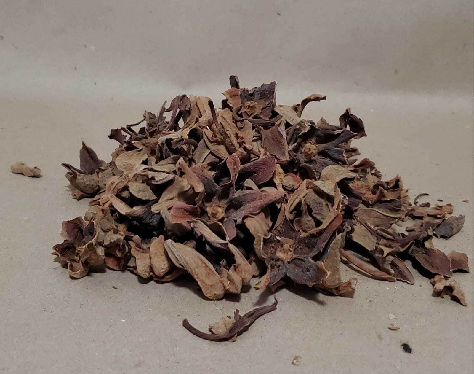 Flor De Manita Devils Hand Flower Herbal Tea Chiranthodendron ...