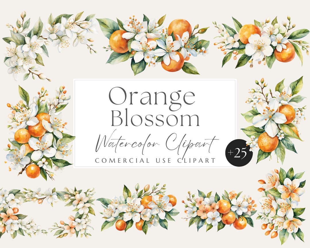Orange Blossom Watercolor Clipart, Floral Wreath (digital Download) - Etsy