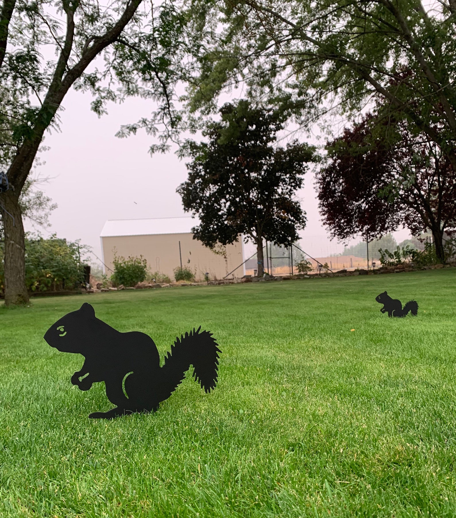 Metal Squirrel Yard Decor - Etsy