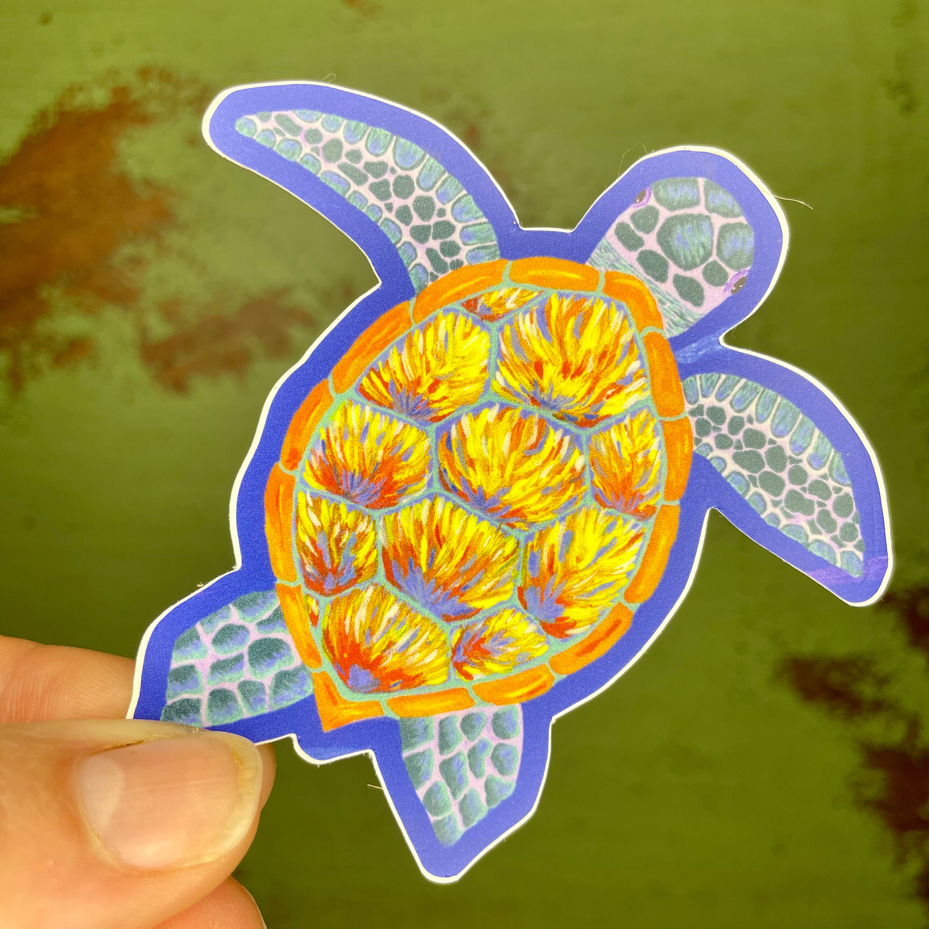 Sea Turtle Sticker, Whimsical Sea Turtle, Sea Turtle Decal, Sea Life ...