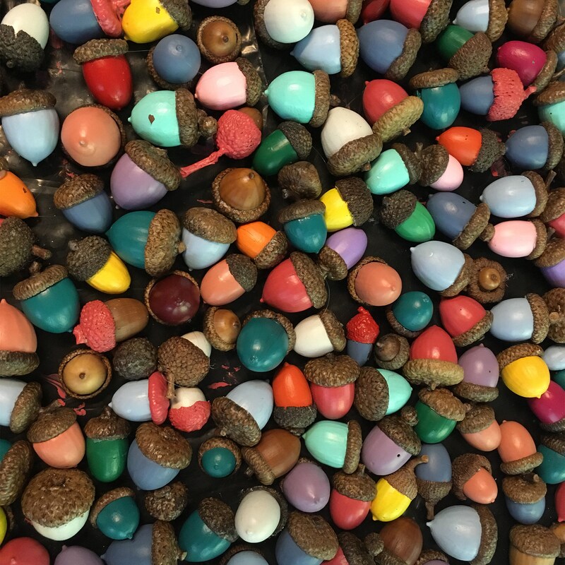 Colorful Acorns - Etsy