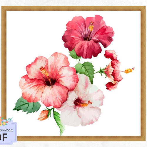 Hibiscus Flower Cross Stitch Pattern Instant PDF Download - Etsy