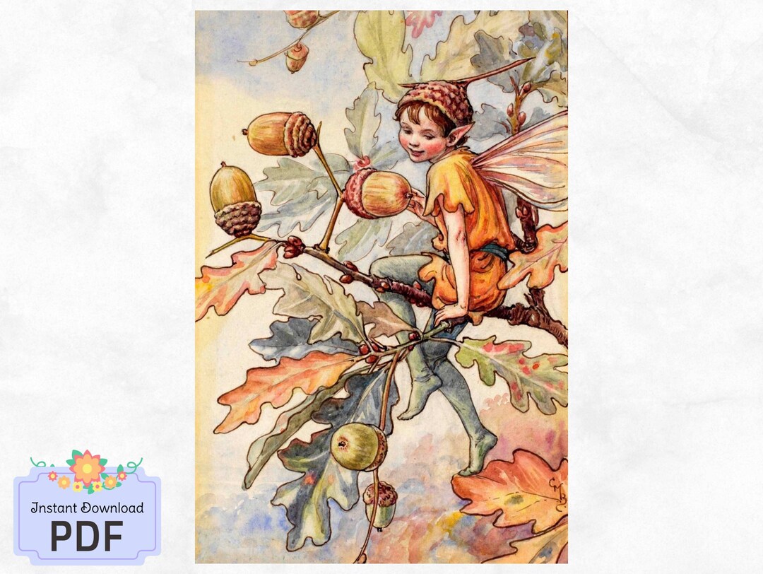 The Acorn Fairy Cross Stitch Pattern , X Stitch Supplies , Instant ...
