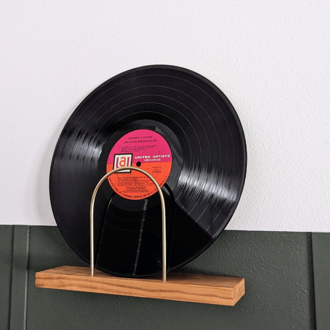 Multi-purpose Wall Mounted Display: Vinyl Record | Book | Art Holder ...