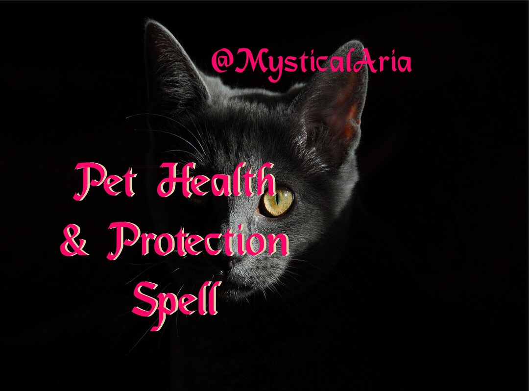 Pet Health and Protection Spell - Etsy