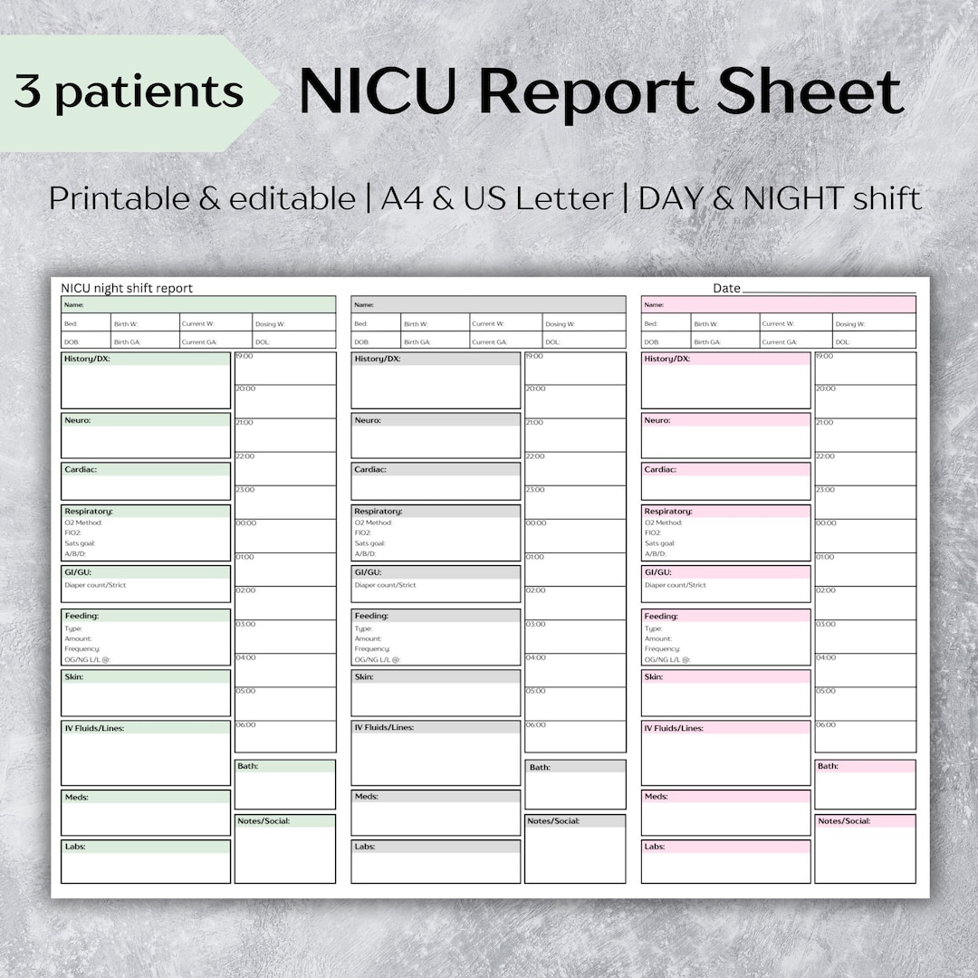 NICU Report Sheet 3 Patient NICU Nurse Brain Day/night - Etsy