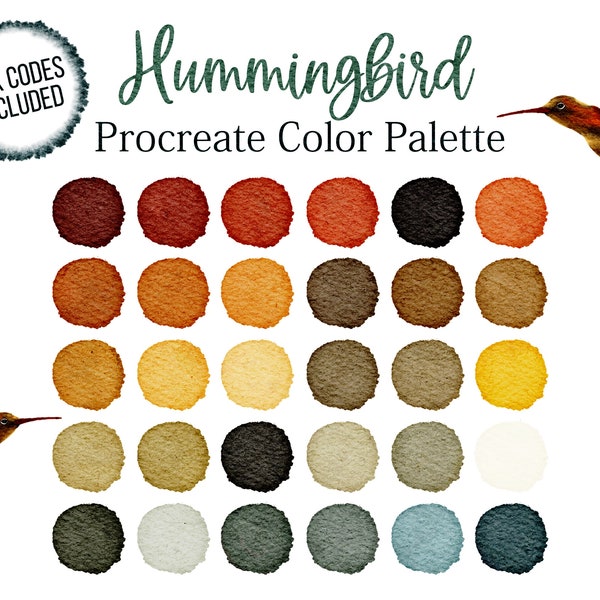 Color Hummingbird Illustration - Etsy