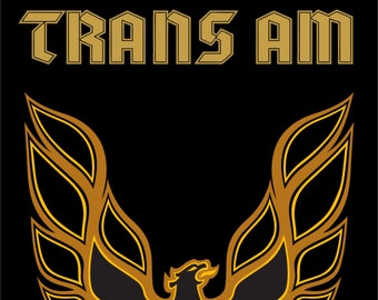 Trans Am Decal - Etsy