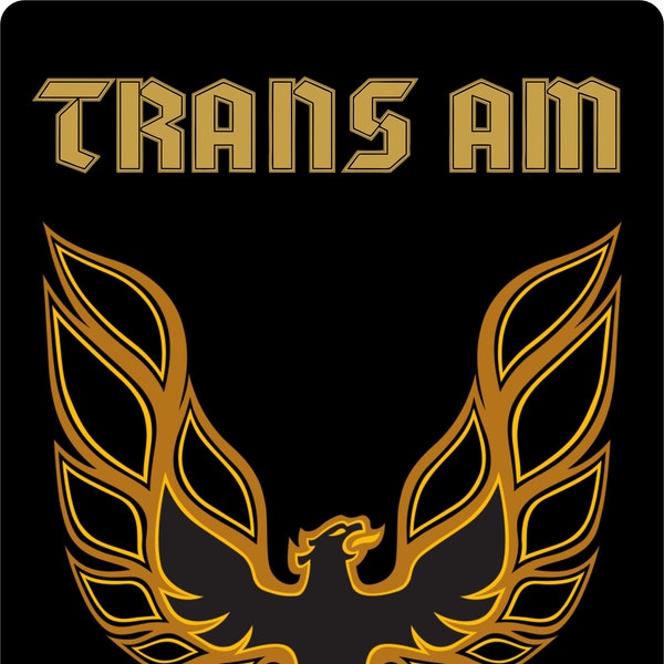 Trans Am Decal - Etsy