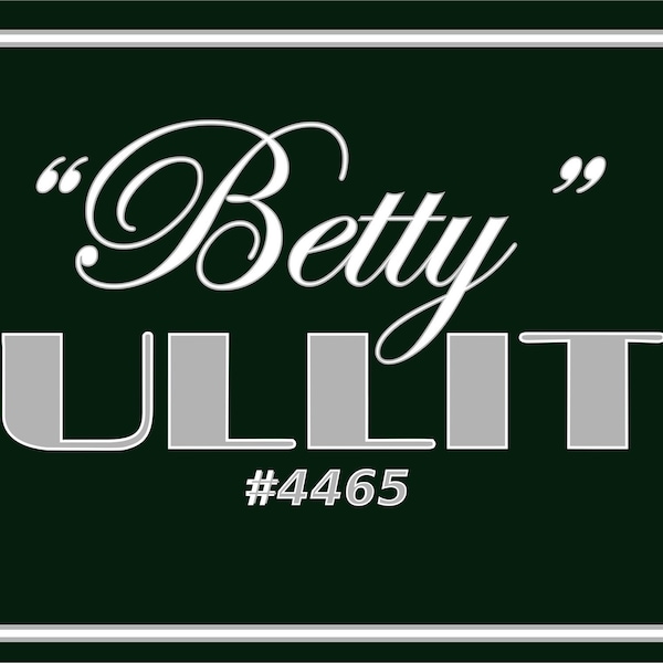 Bullitt License Plate - Etsy