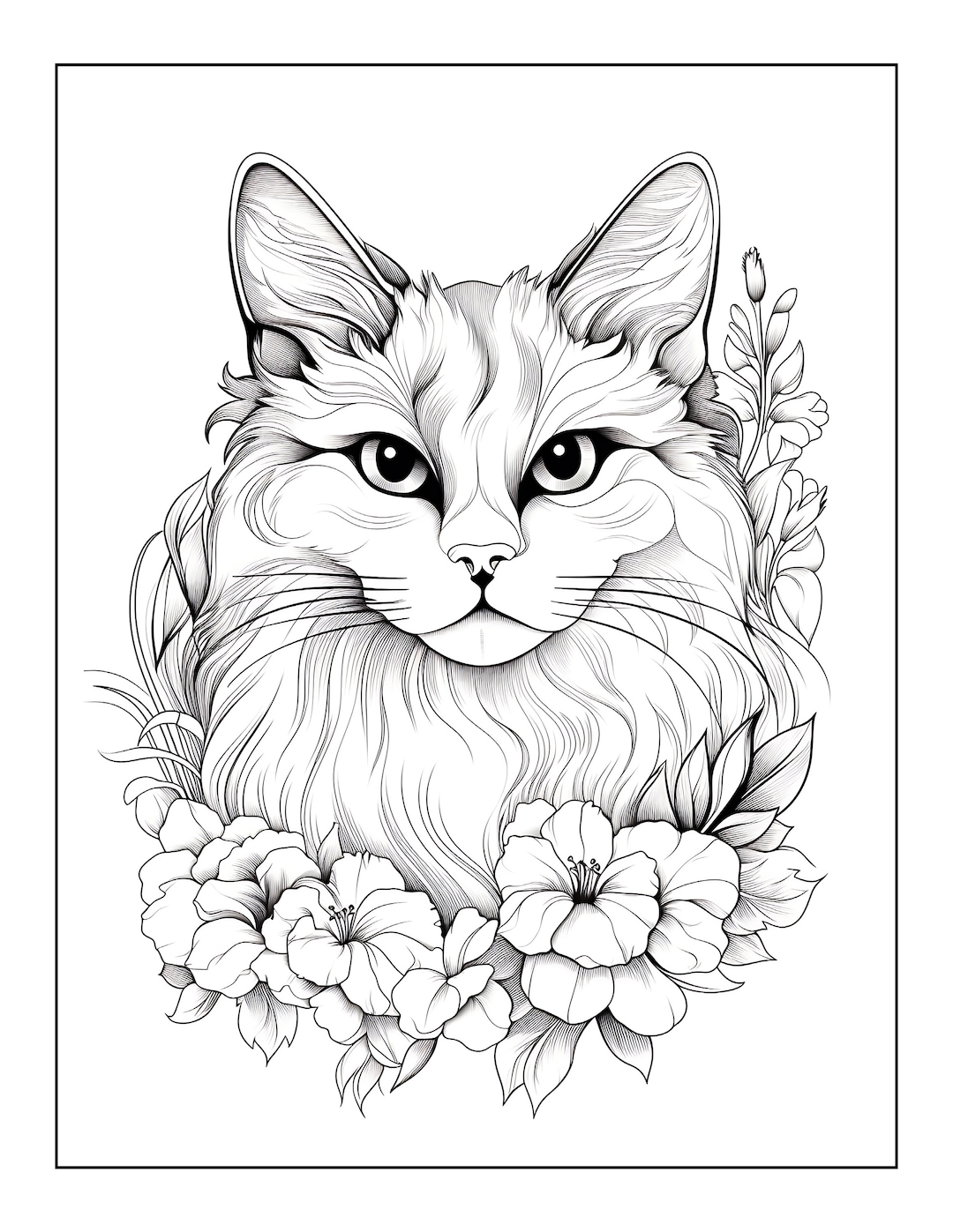 Cats & Flowers Series 71-75 Coloring Pages 8x11 - Etsy