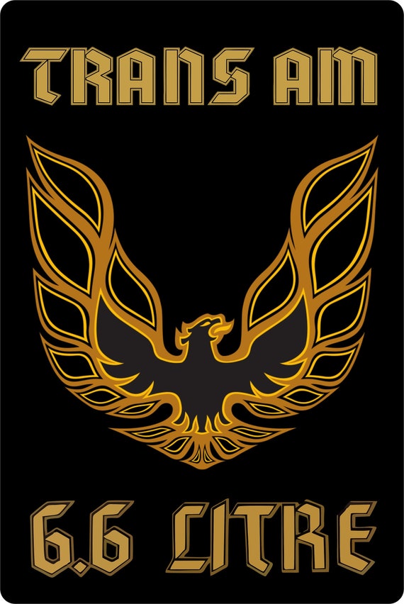 Trans Am 6.6 Litre Logo Black & Gold Custom 12 X - Etsy
