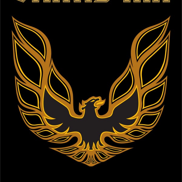 Trans Am Decal - Etsy