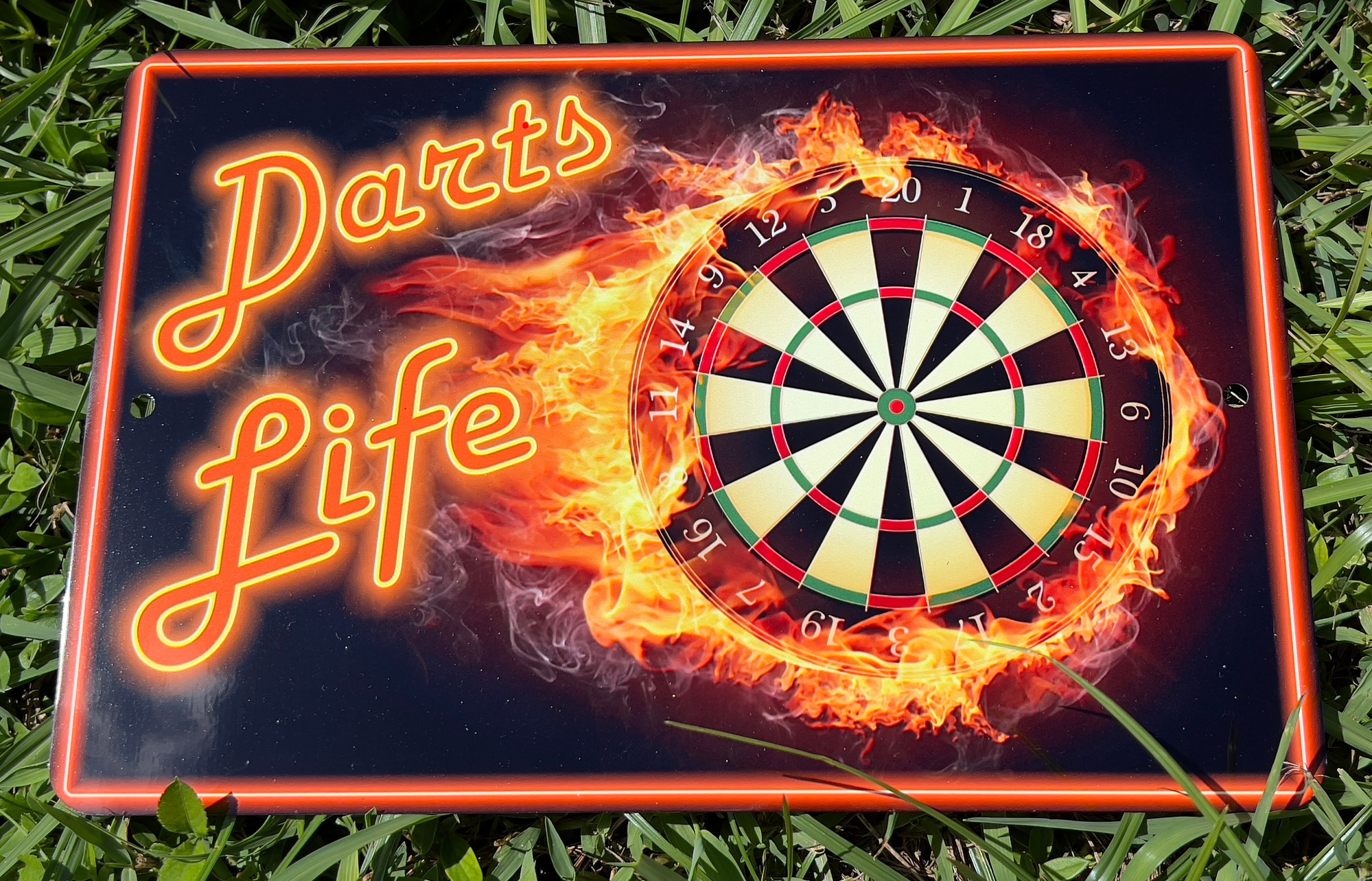 Darts Life Flaming Dartboard Metal Sign - Etsy