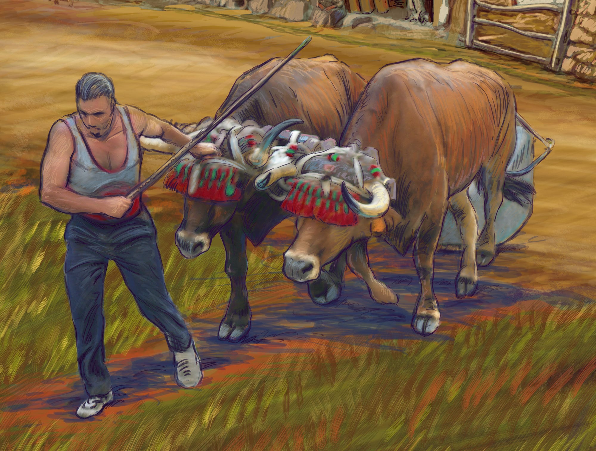 Basque Poster Festival Oxen Baserri Gizaburuaga KCBC - Etsy