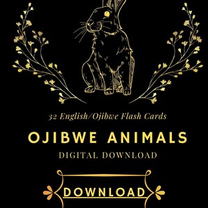 32 English/ojibwe Printable Flash Cards (digital) - Etsy