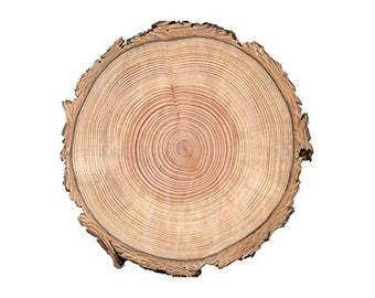 Wood Tree Rings Birthday Edible 2D Fondant Birthday Cake/cupcake Topper ...