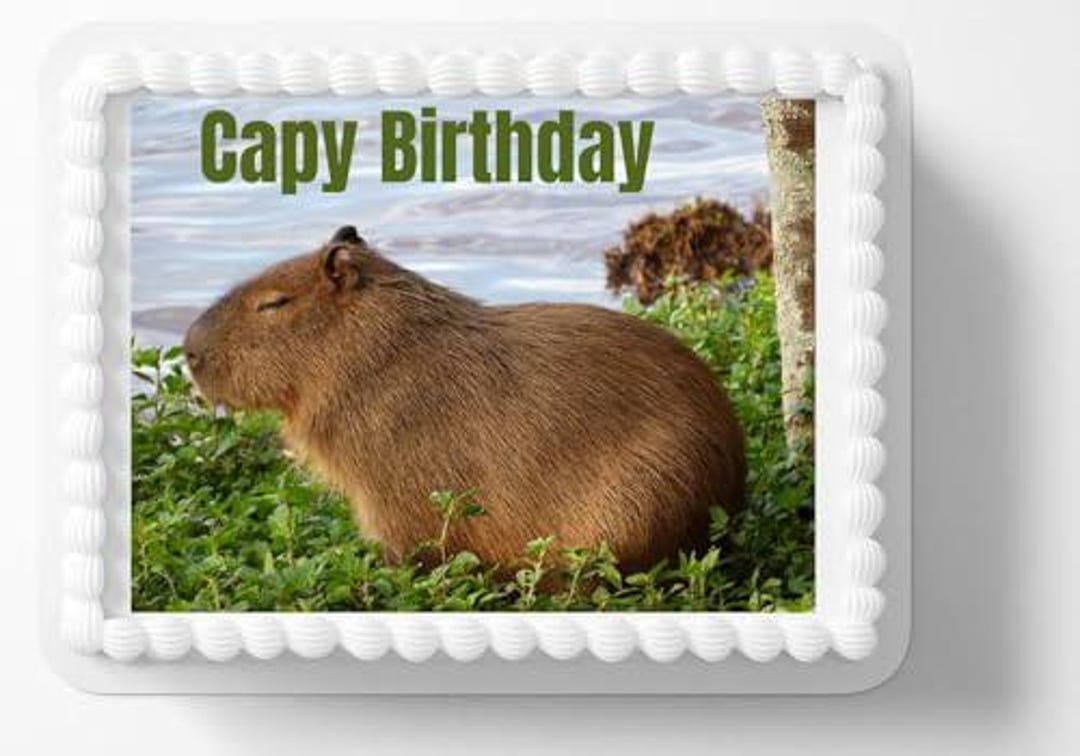 Capybara Meme Edible Icing Cake Topper Sheets-fits 1/4 Sheet Cake or ...