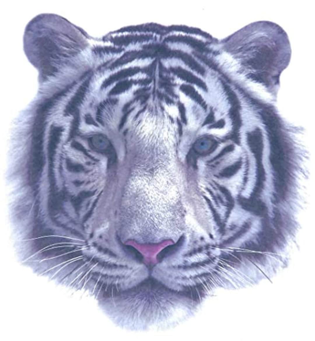 White Tiger Edible Icing Sheets Assorted Image Cake Toppers-frosting ...