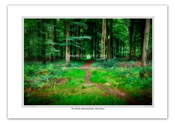 The Woods Angmering Park Estate West Sussex Image - Etsy France