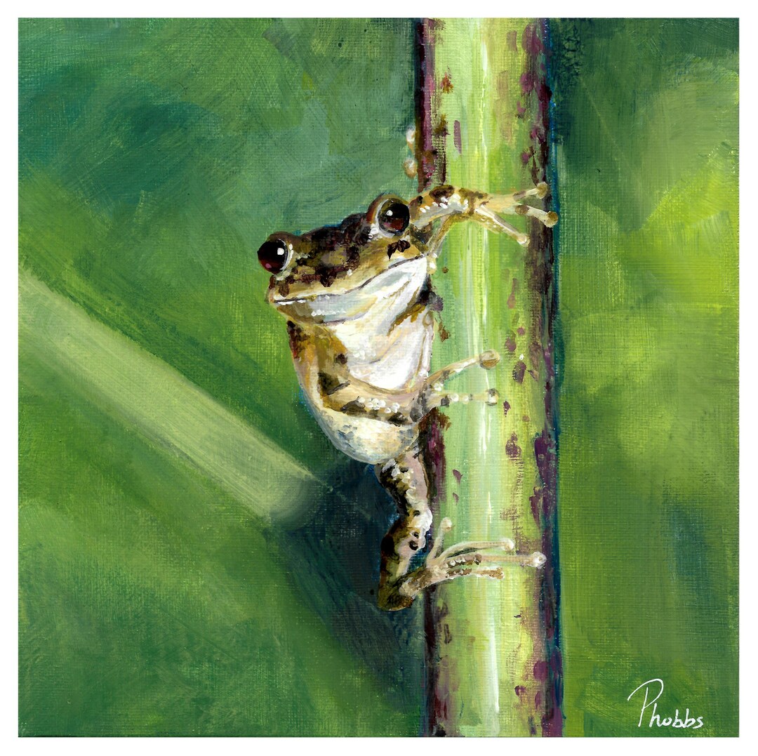 2 Different Tree Frogs - Square Art Print of Original Acrylic Painting ...