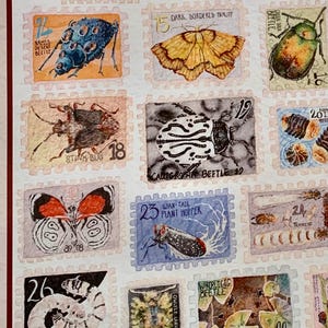 A2 Junebug 2024 Poster – Quirky Maximalist Print - Etsy UK