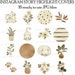 Instagram Highlight Covers Cat, IG Highlight Covers, Cute Cat Icons ...