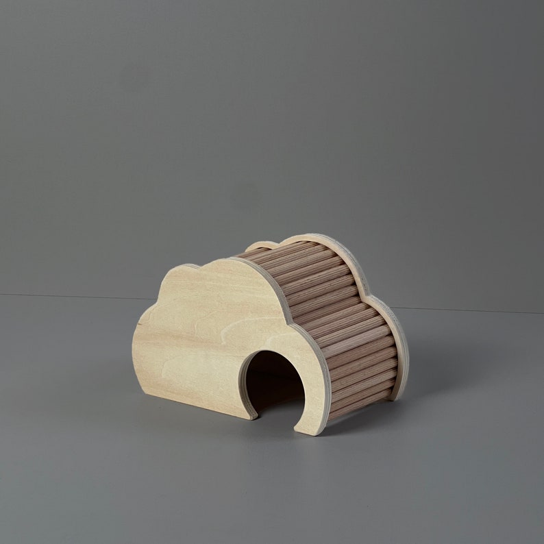 Hamster Hideout Cloud, House, Syrianhamster, Dwarfhamster, Hamster Cage ...