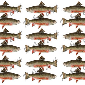 Brook Trout Waterslide Decal - Etsy