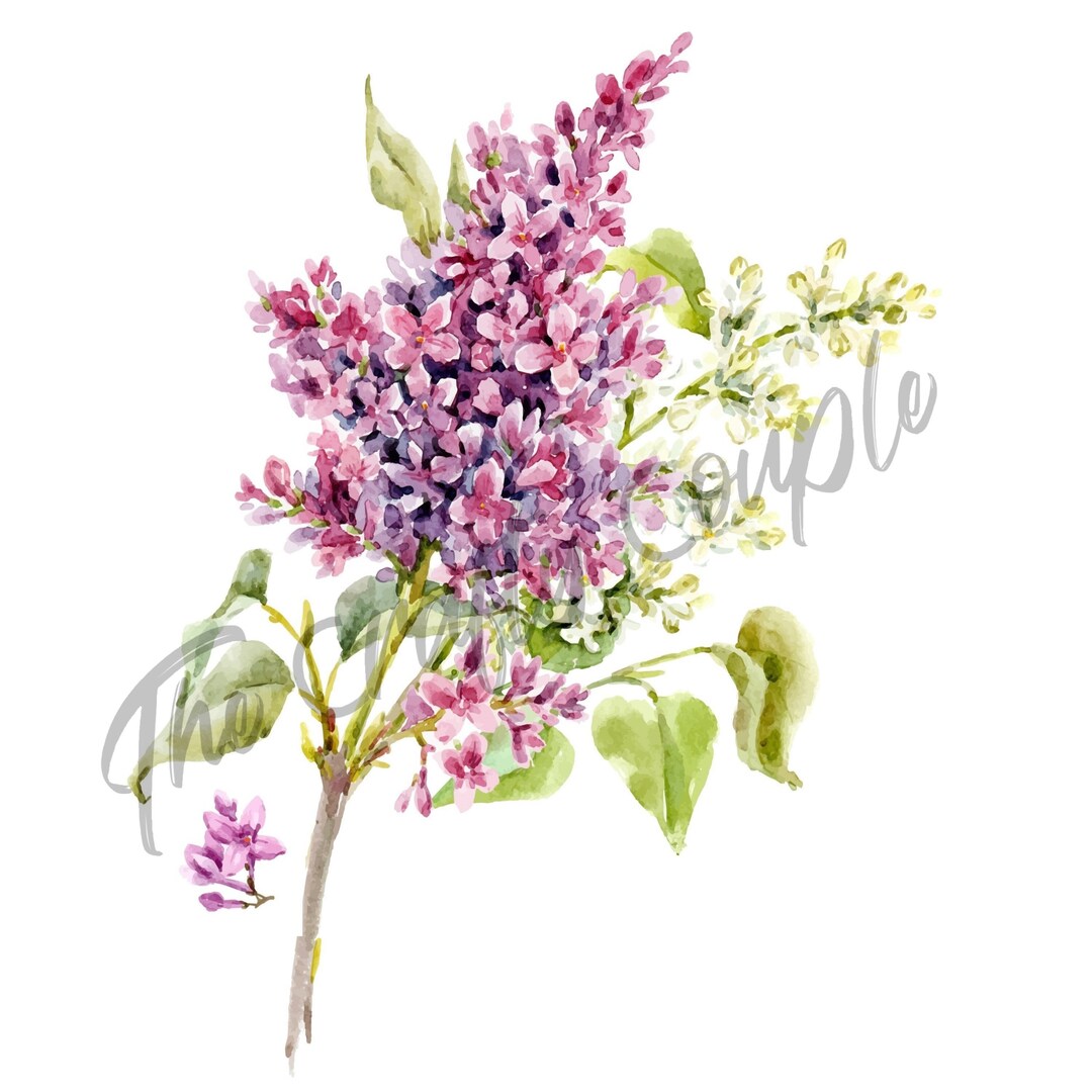 Lilac Violet Colored Waterslide Decal - Etsy