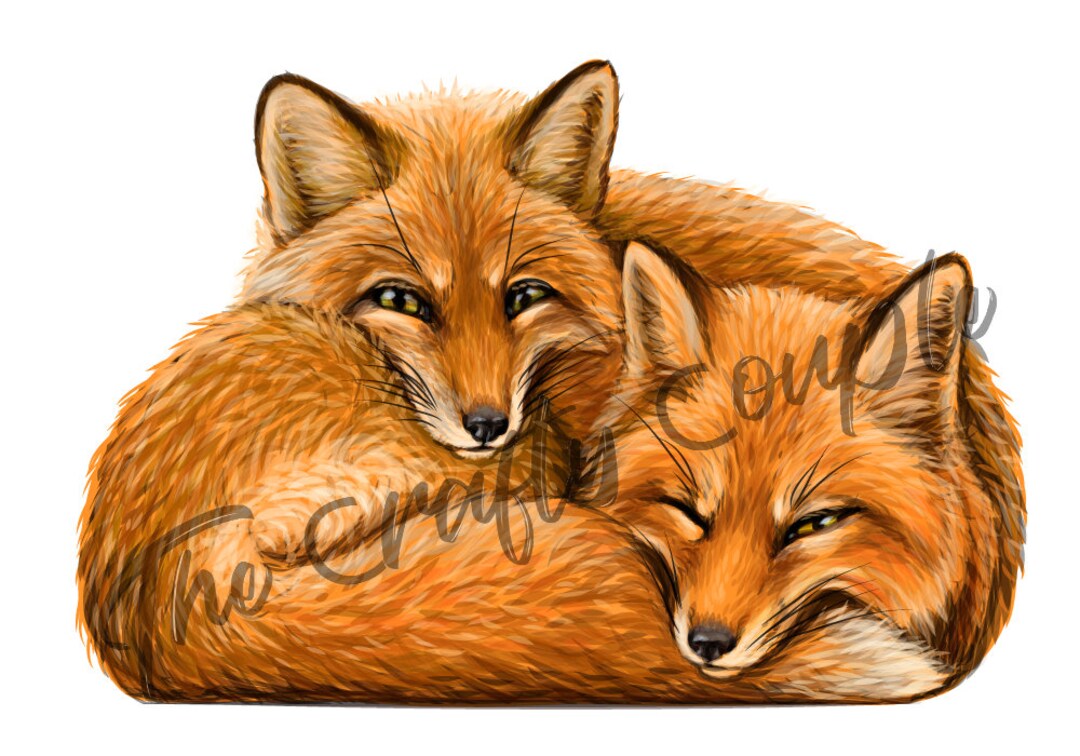Waterslide Decal Two Cuddling Foxes No Background, Tumbler Decal ...
