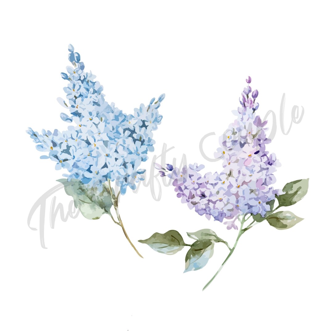 Lilacs Blue and Purple Waterslide Decal - Etsy