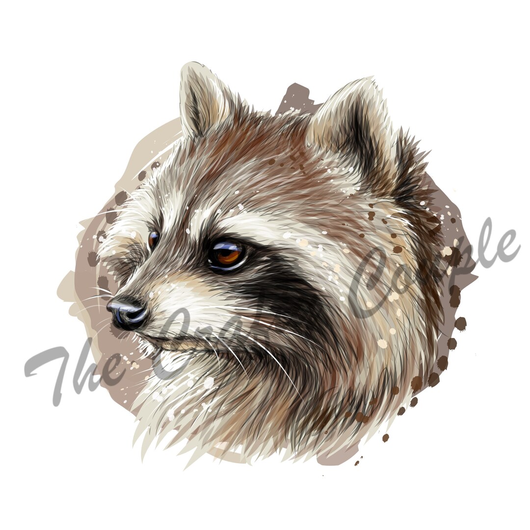 Waterslide Decal Raccoon, Tumbler Decal, Furniture Decal, Glass Decal ...