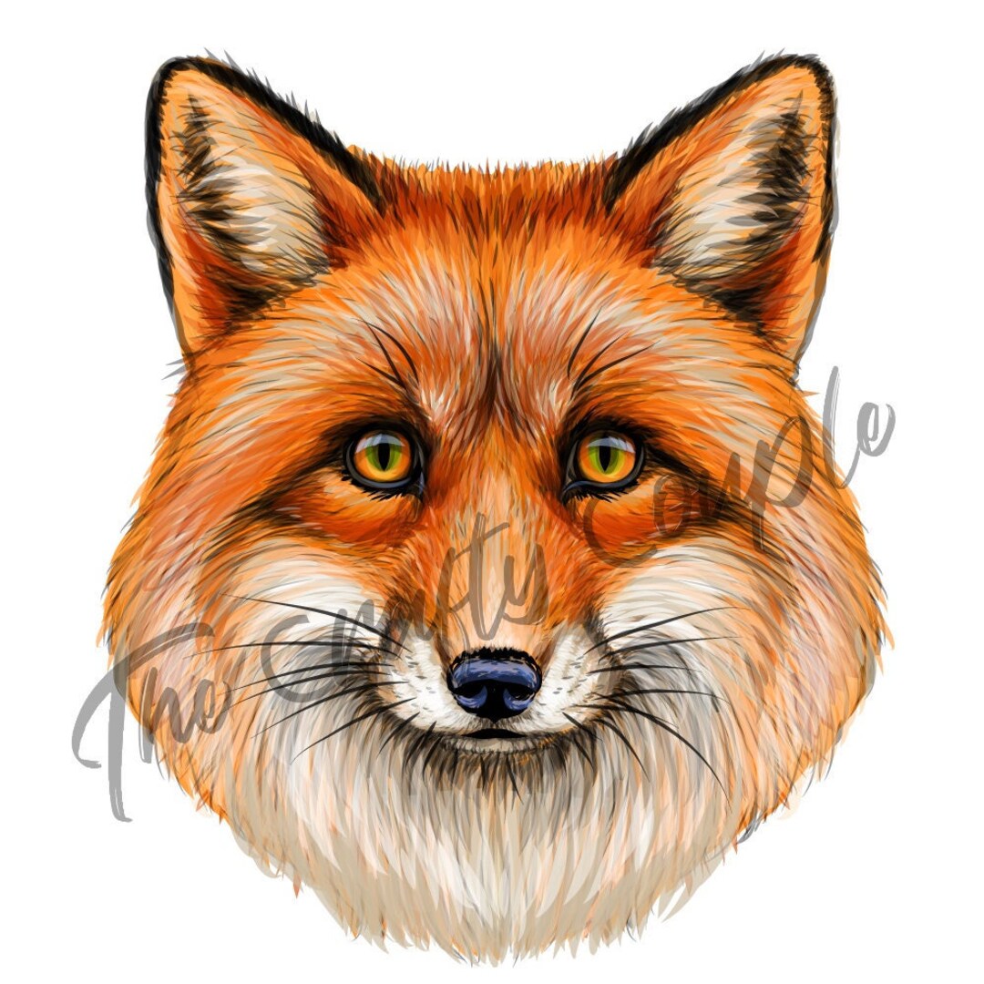 Fox Face With No Background Waterslide Decal, Tumbler Decal, Furniture ...