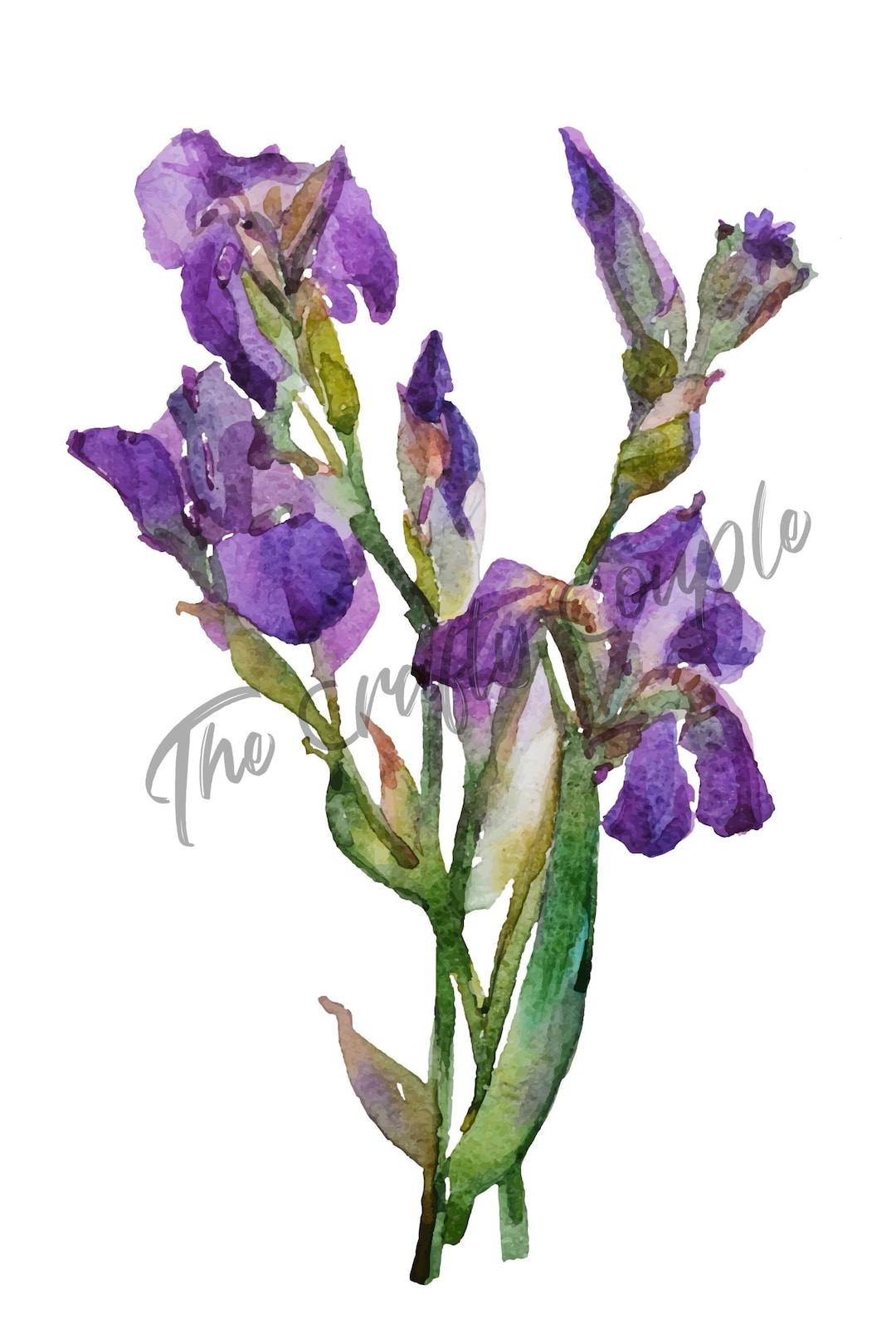 Waterslide Decal Flower Iris Purple Watercolor, Tumbler Decal ...