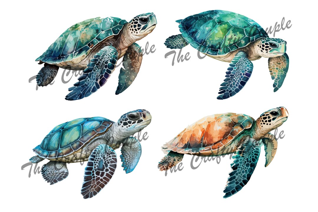 Sea Turtle Collection Waterslide Decal, Tumbler Decal, Furniture Decal ...