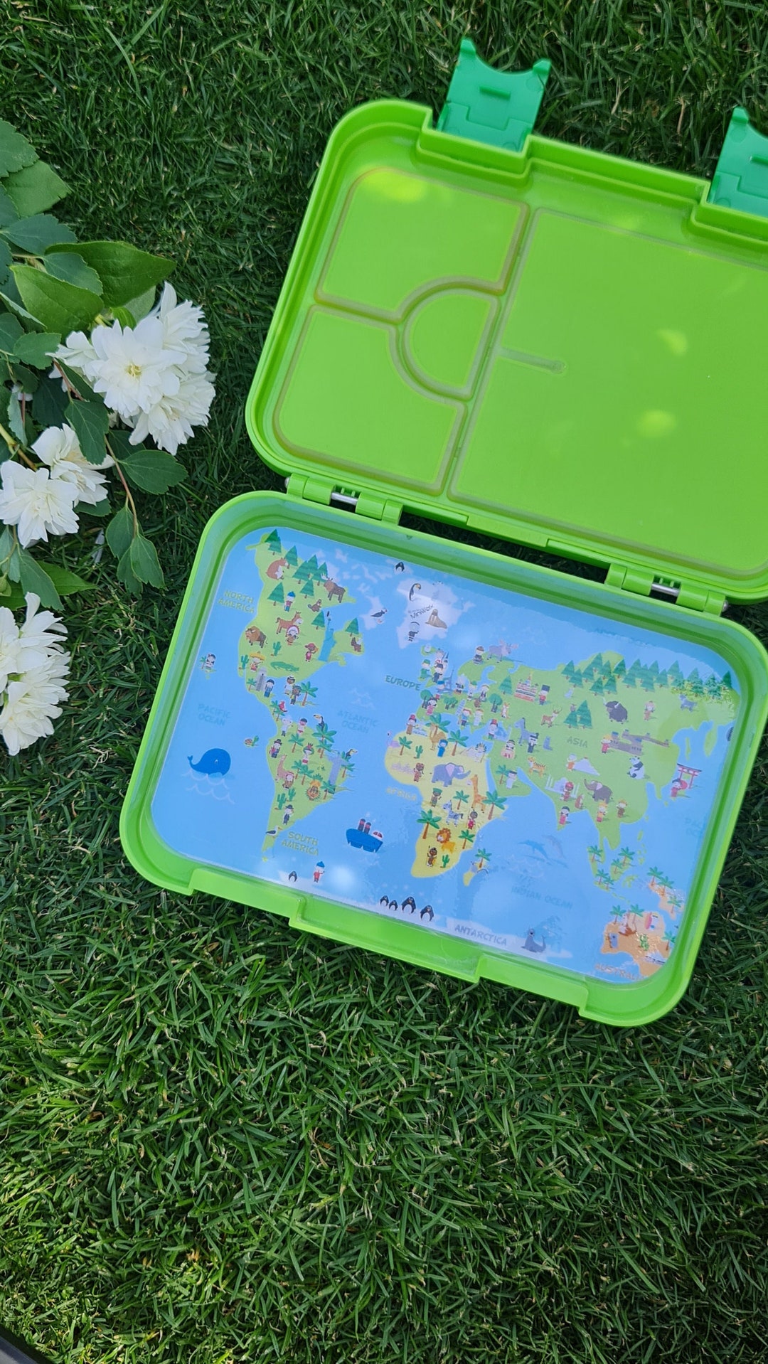 Snack Box Insert World Map - Etsy