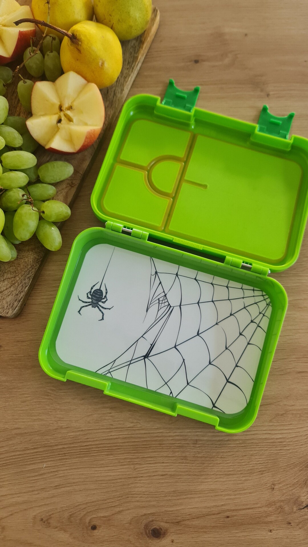 Lunch Box Insert Cobwebs - Etsy