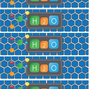 H2O Water Bottle Labels for Science Themed Birthday Party- INSANT ...
