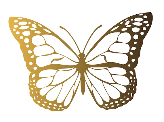Butterfly SVG butterfly svg butterfly png butterfly vector | Etsy