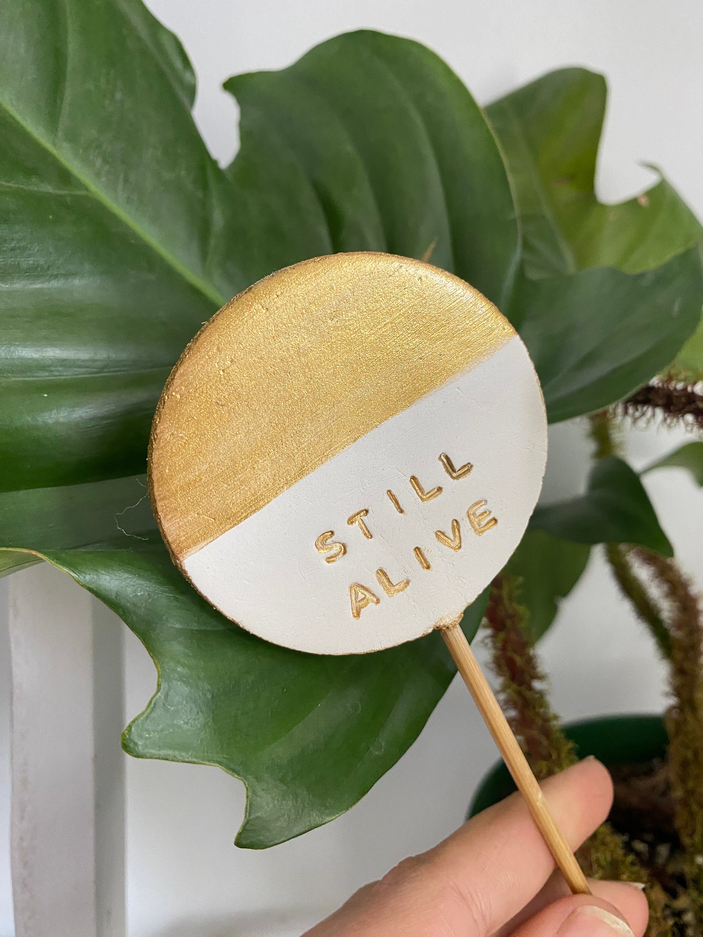 Plant Power & Puns: Funny Motivational Quote Clay Plant Stakes set of 6 ...